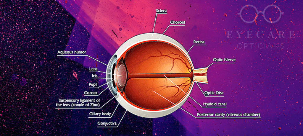 Common Eye Conditions - Eyecare Blackburn